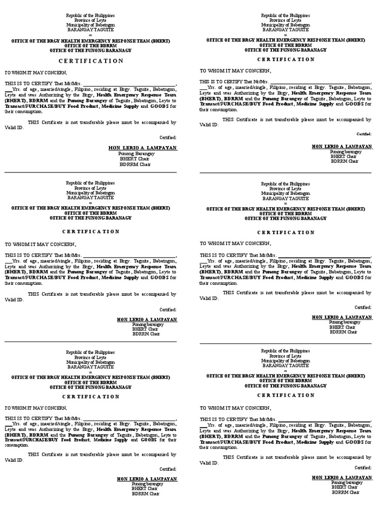 Gate Pass | PDF | Philippines