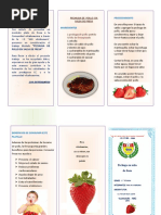 Triptico Mermelada de Jamaica | PDF | Alimentos | Jamaica