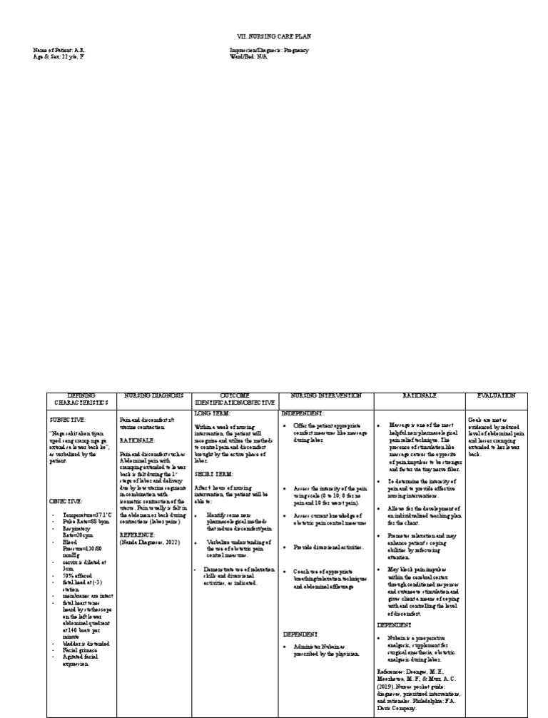Intrapartum Nursing Care Plan for Labor | PDF | Pain | Childbirth