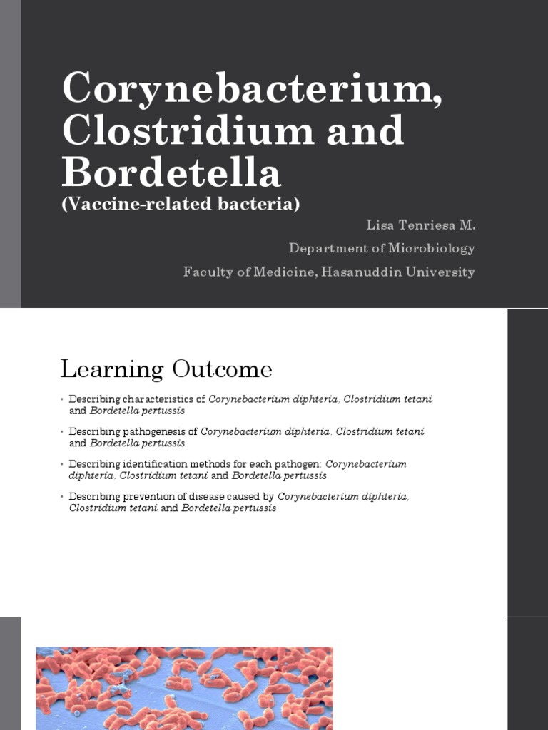 Corynebacterium, Clostridium and Bordetella | PDF