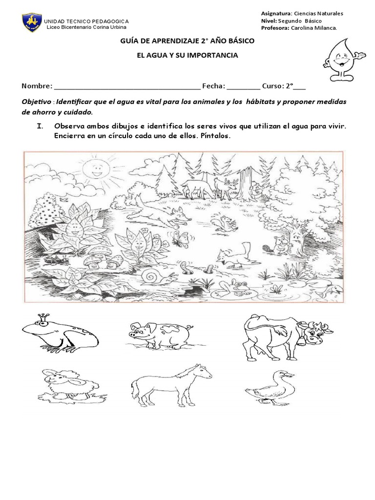 Importancia del Agua en 2° Básico | PDF | Salud y bienestar | Ciencia y ...