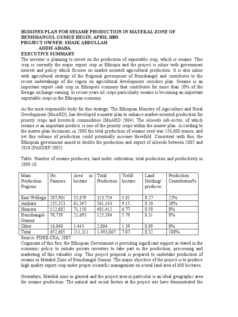 Introduction Sesame | PDF | Net Present Value | Market (Economics)