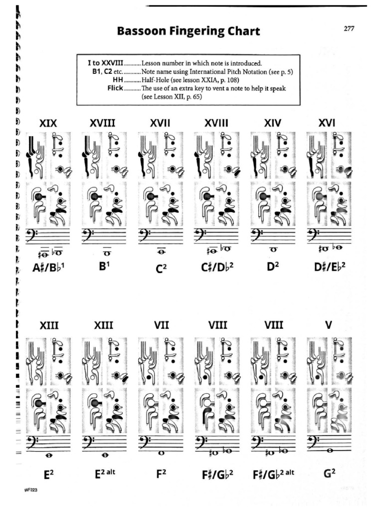 Digitaciones Fagot | PDF