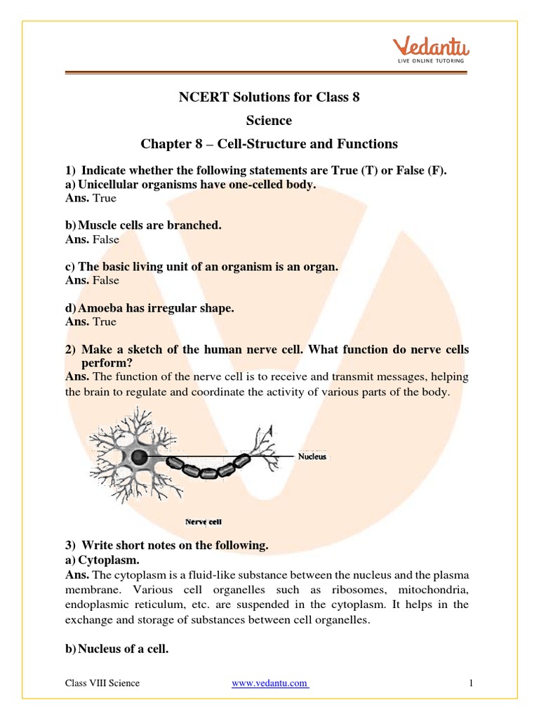 NCERT Solutions of Cell Structure and Functions of Class 8 Science ...
