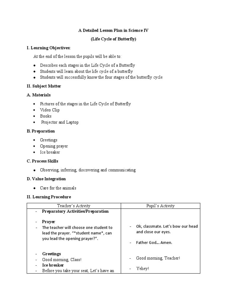 BLC Lessonplan | PDF