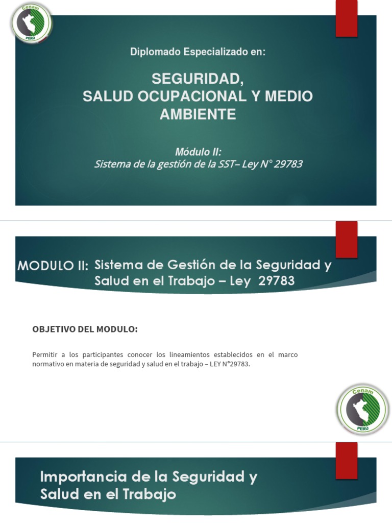 Modulo II 29783 | PDF | Seguridad y salud ocupacional | Derecho laboral