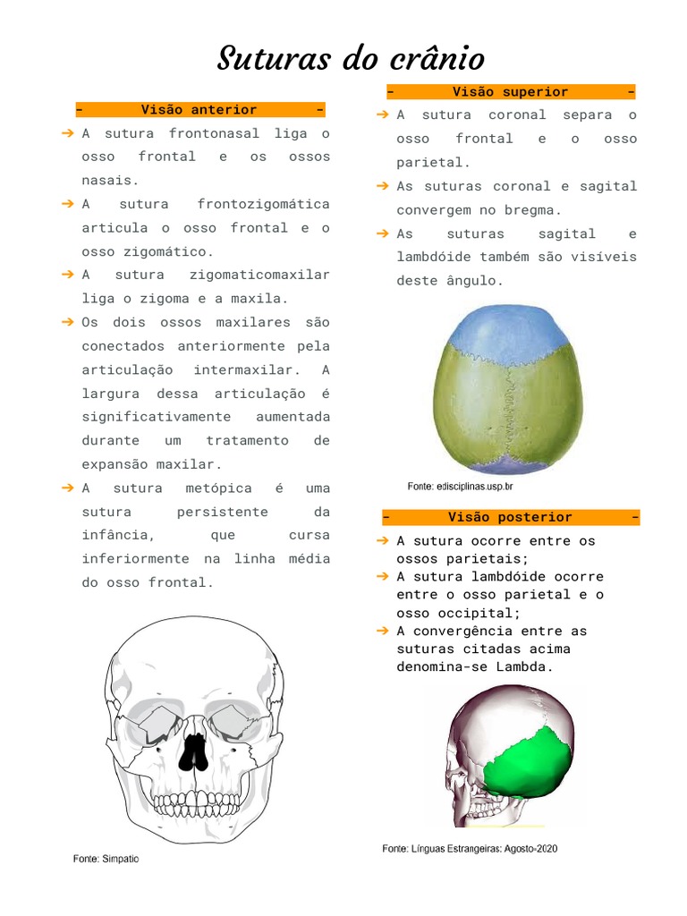 Suturas Do Crânio Resumo | PDF | Anatomia | Anatomia humana