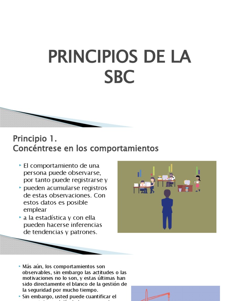 Principios SBC | PDF | Comportamiento | Valores