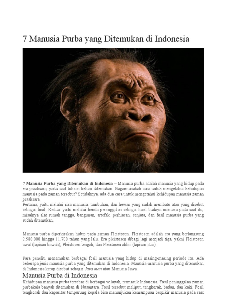 7 Manusia Purba Yang Ditemukan Di Indonesia | PDF