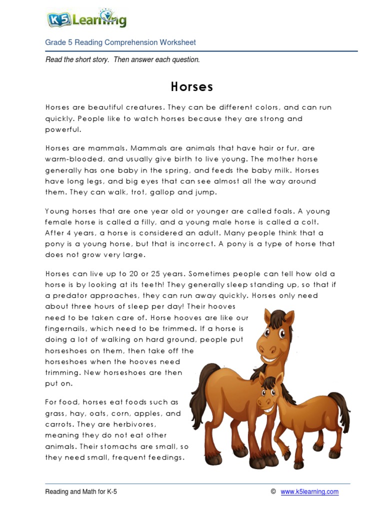 1 Updated 5th Grade 5 Horses | PDF | Horses | Equus (Genus)