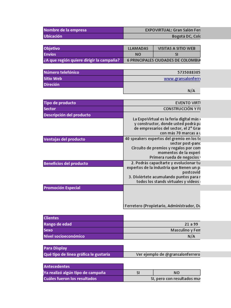 Brief Google ADS | PDF