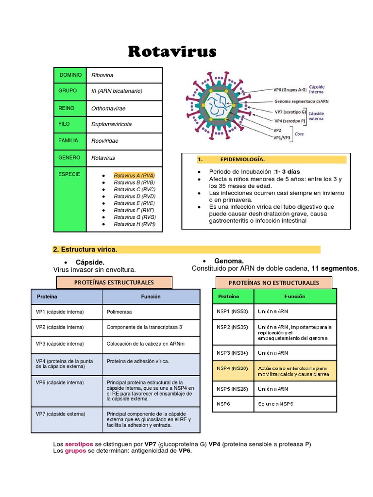 Rotavirus | PDF | Especialidades Medicas | Microbiología