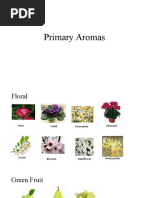 WSET Level 2 Practice Exam Answers | PDF | Wine | Phenolic Content In Wine