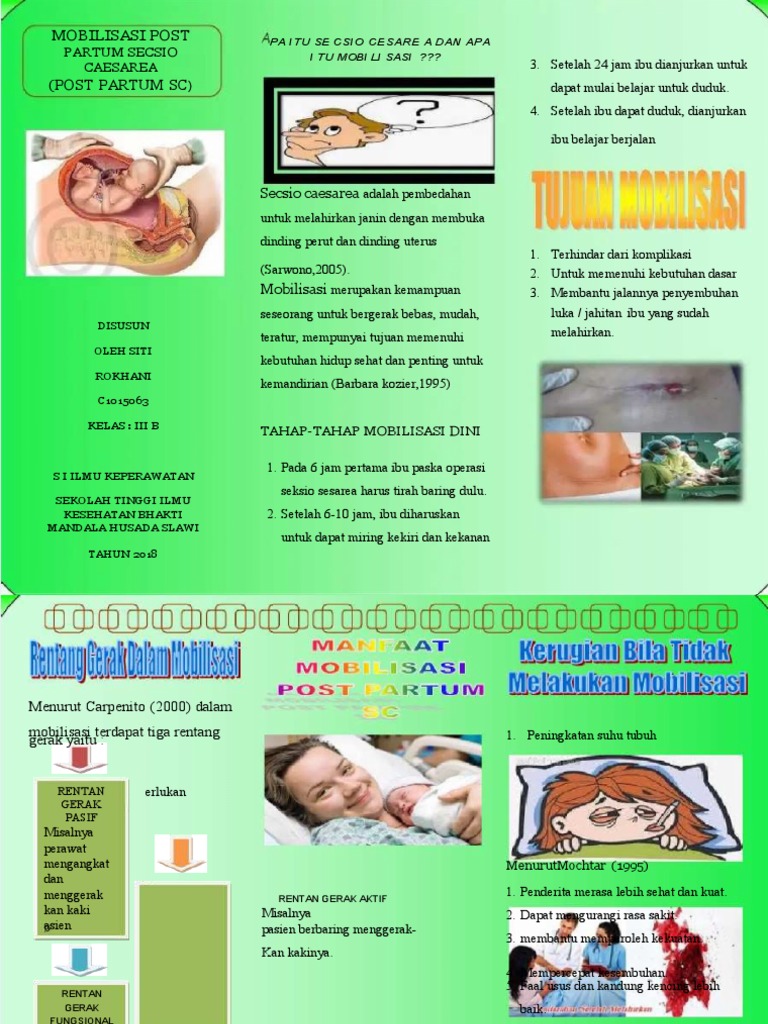 PDF Leaflet Post Partum SC | PDF