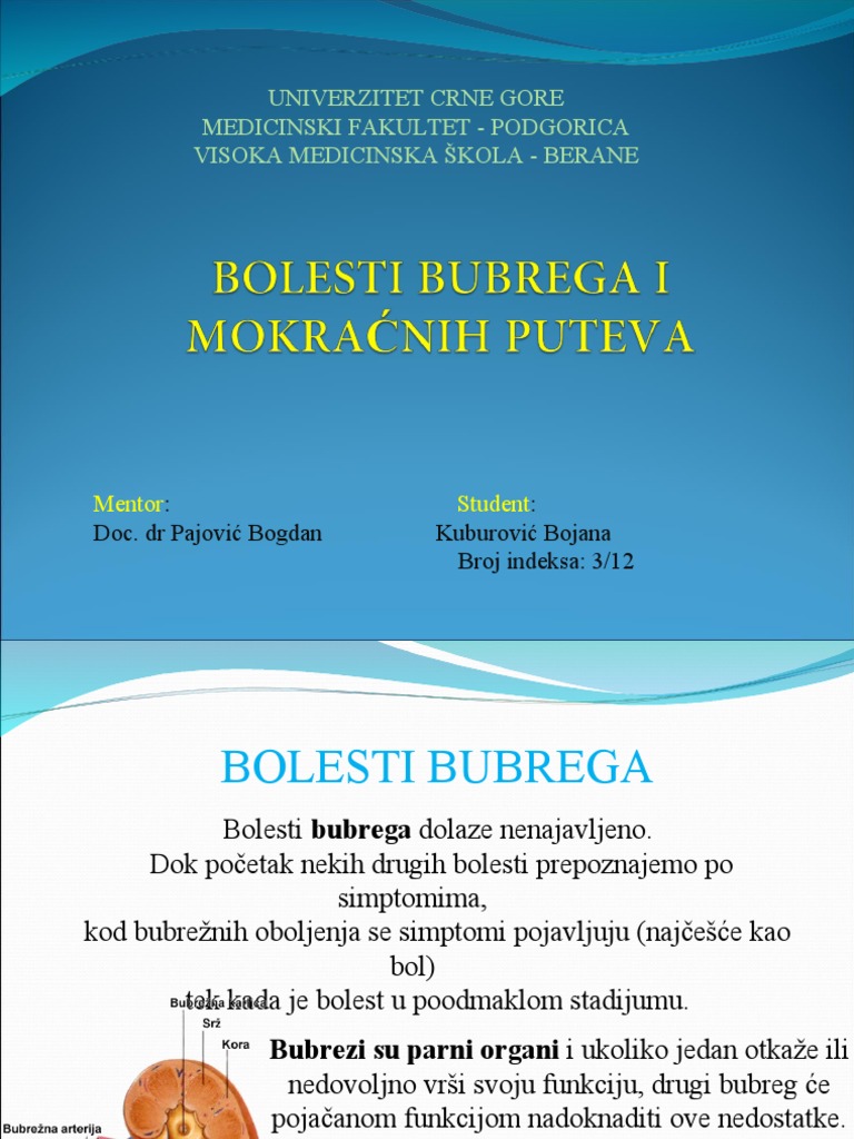 Bolesti Bubrega I Mokracnih Puteva | PDF