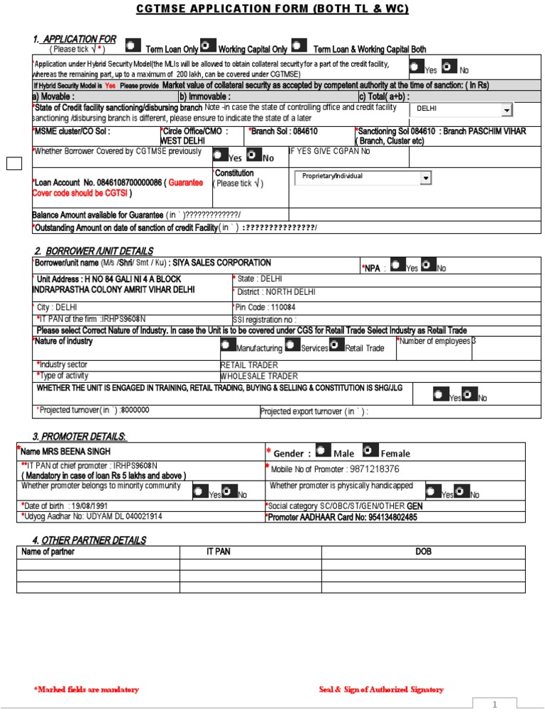 CGTMSE Hybrid Security Application Form | PDF | Debt | Credit