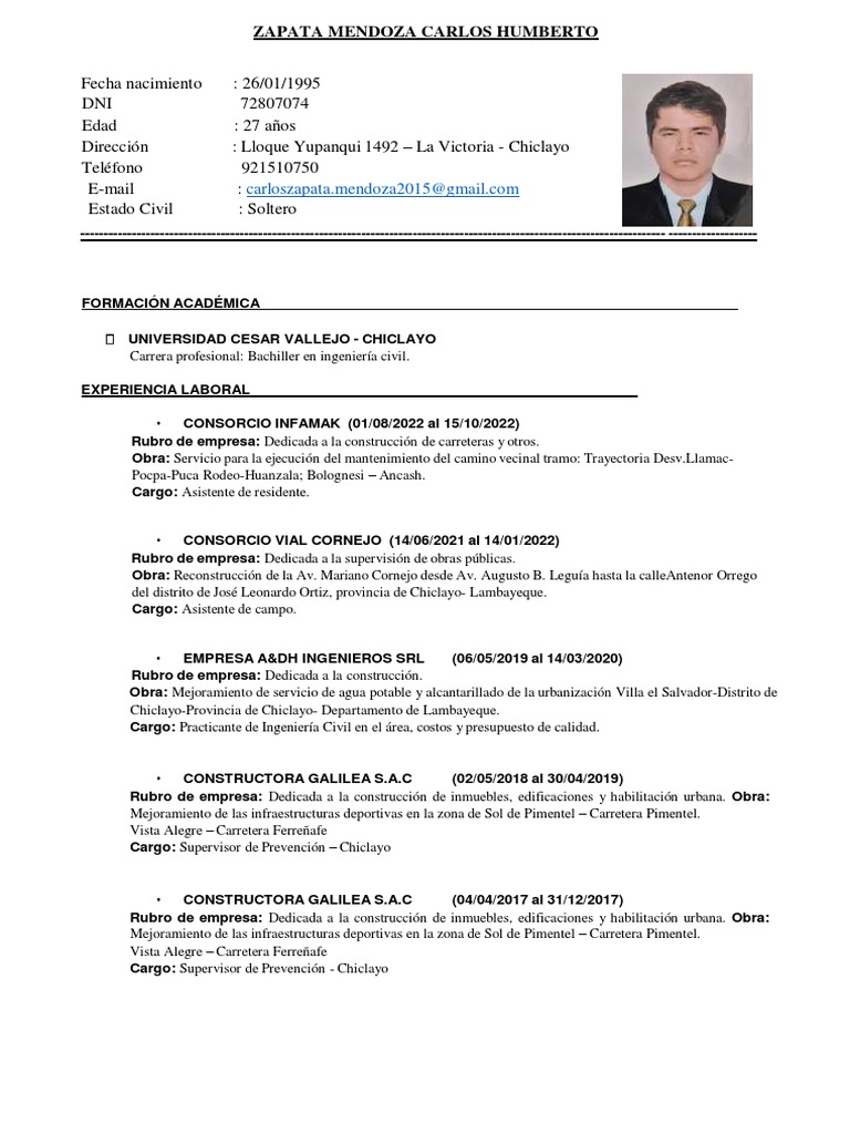 CV - Carlos Zapata Mendoza | PDF