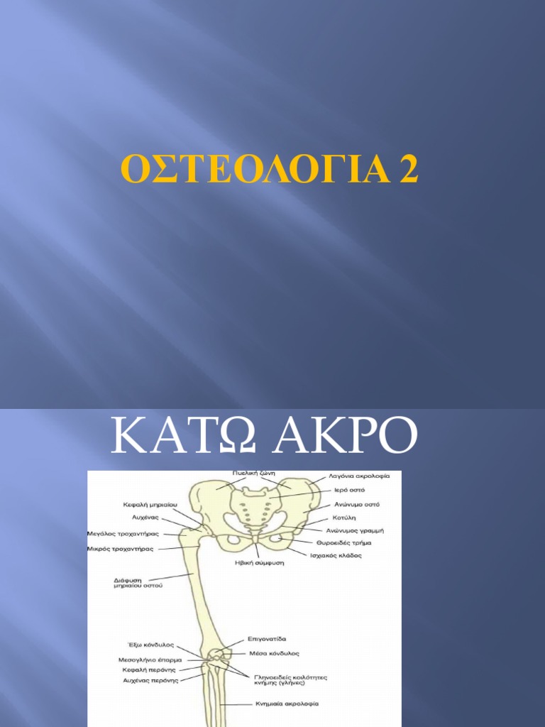 5. ΟΣΤΕΟΛΟΓΙΑ 2 | PDF