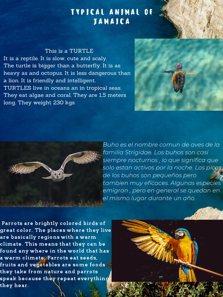 Typical Animal of Jamaica | PDF