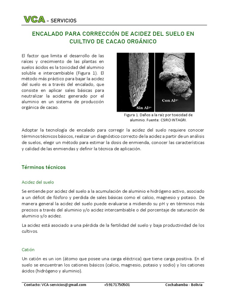 Habitat Termoacidofilos Arqueas | PDF | Archaea | Biología Celular)