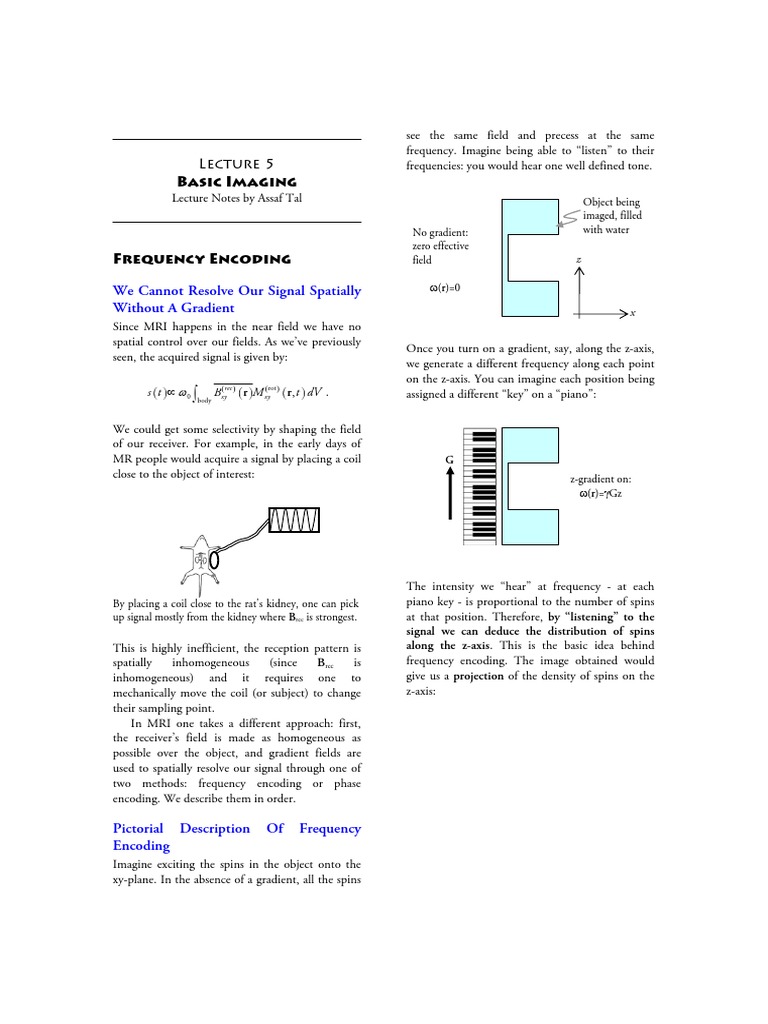 Decoding MRI: Frequency and Phase Encoding Explained | PDF | Magnetic ...