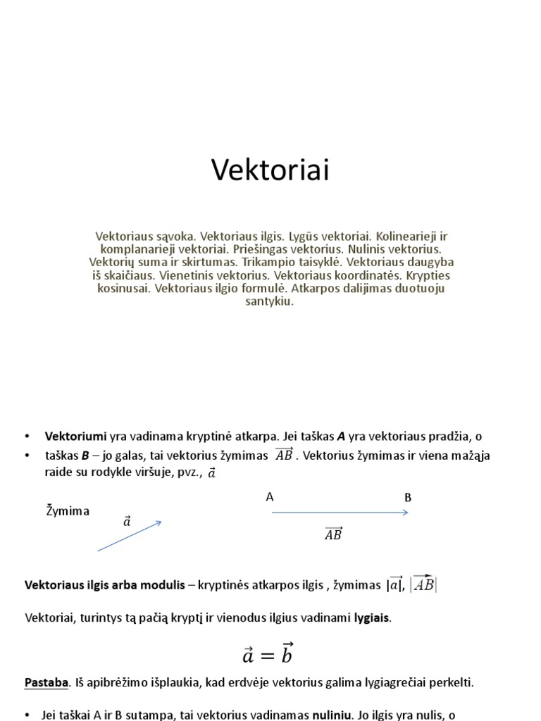 Vektoriai | PDF