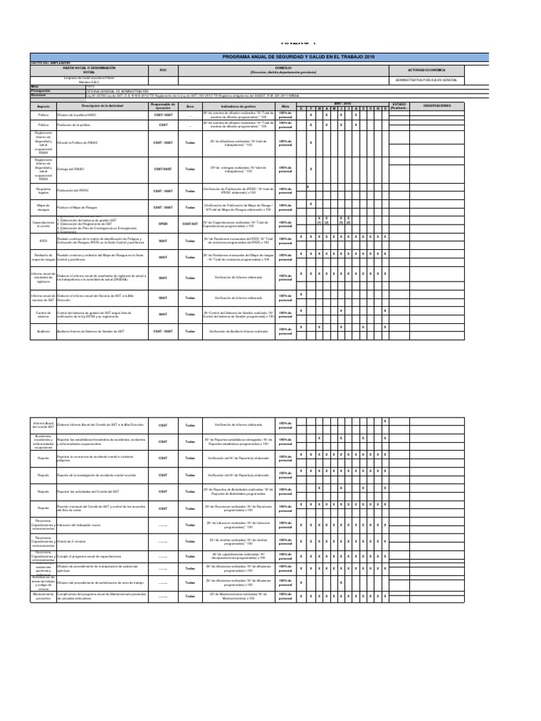 Programa de Seguridad y Salud en El Trabajo | PDF | Business