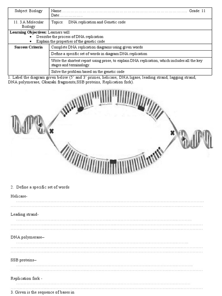 WS1 - 11 Grade - The Genetic Code and DNA Replication | PDF | Dna ...