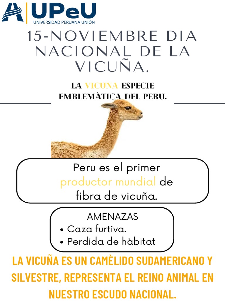 Infografia de Dia Nacional de La Vicuña | PDF