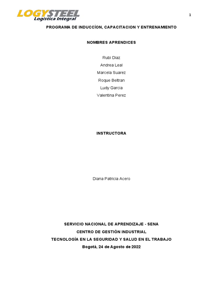 Informe de Programa de Inducion | PDF