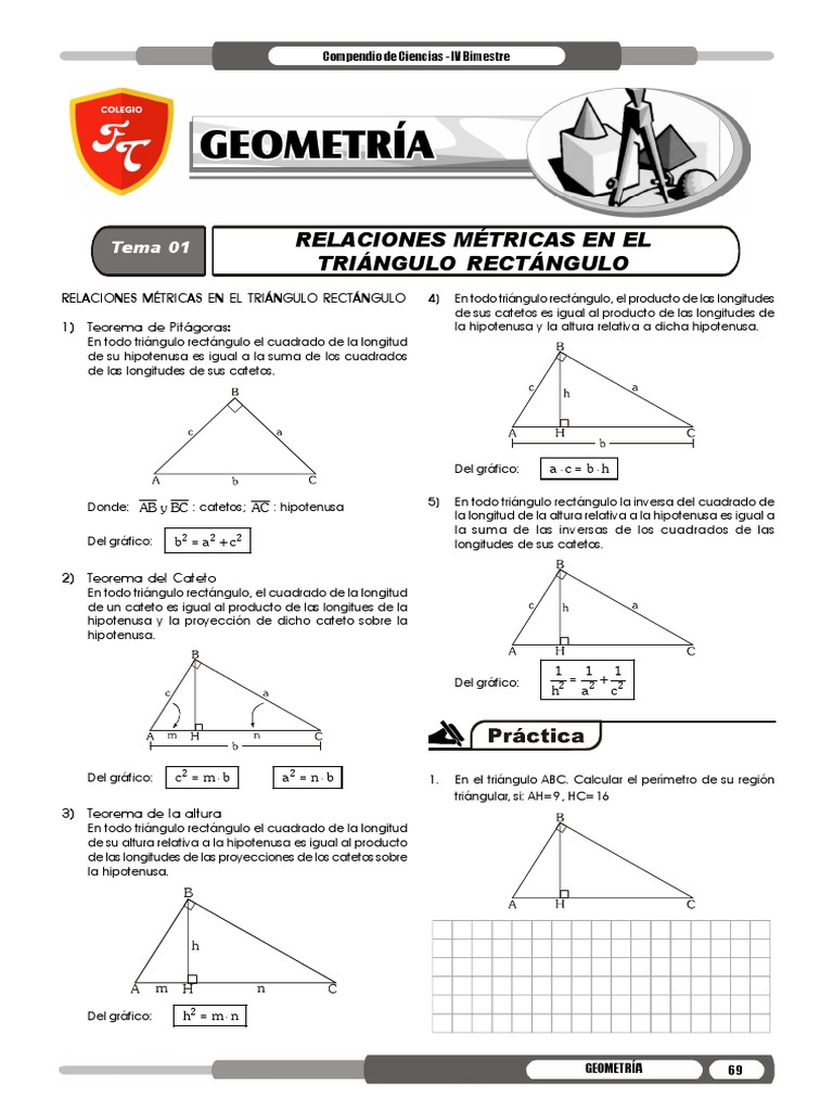 Relaciones Métricas en El Triángulo Rectángulo: Tema 01 | PDF | Triángulo | Geometría Elemental