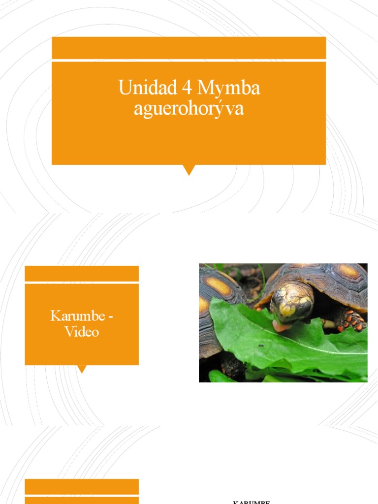 Unidad 2 Mymba Rehegua | PDF