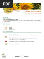 Faits et cycle de vie du tournesol | PDF