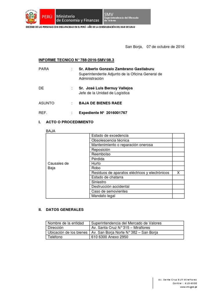 Informe - Baja Raee 181016 | PDF