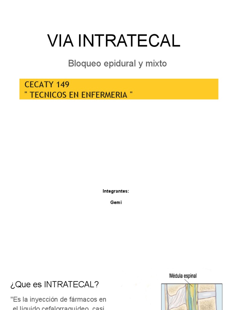 VIA INTRATECAL - Gemi | PDF | Medicina CLINICA | Especialidades Medicas