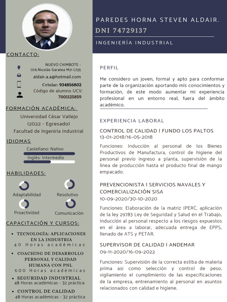 Curriculum CV Marketing Masculino Profesional Azul | PDF