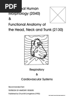 Thorax Anatomy Diagrams Overview | PDF