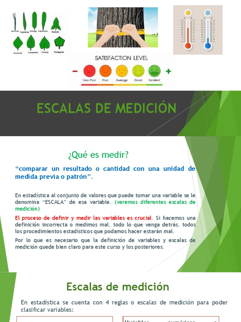 Tipos de Escalas de Medición en Estadística | PDF | Nivel de medida ...
