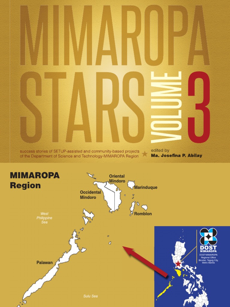 MIMAROPA-Stars-3 080717 FINAL | PDF | Entrepreneurship | Economies