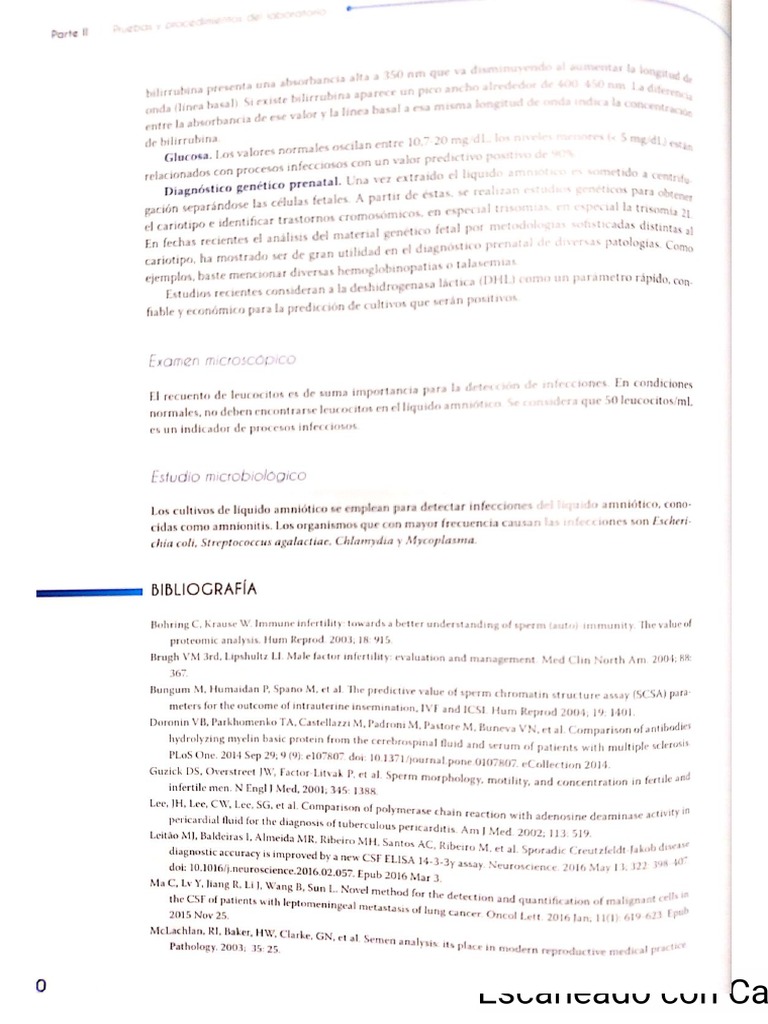 CamScanner 11-17-2022 19.03 | PDF CamScanner 11-17-2022 19.03 | PDF