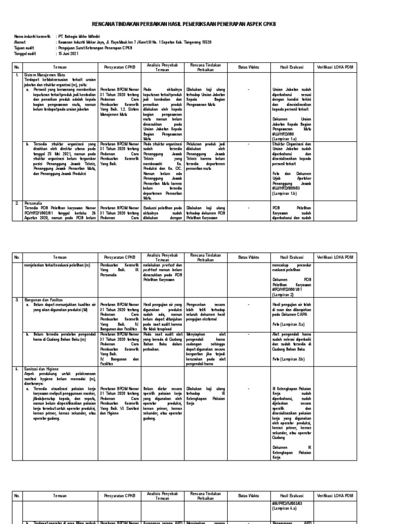 Rencana Tindakan Perbaikan Hasil Pemeriksaan Penerapan Aspek CPKB (Capa ...