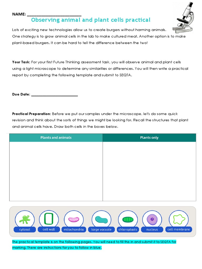 Observing Animal and Plant Cells Practical 2022 | PDF