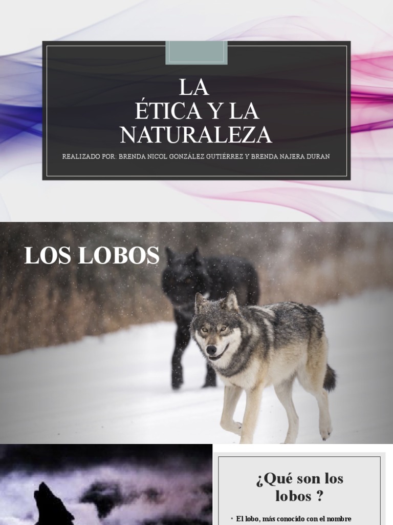 Lobos | PDF