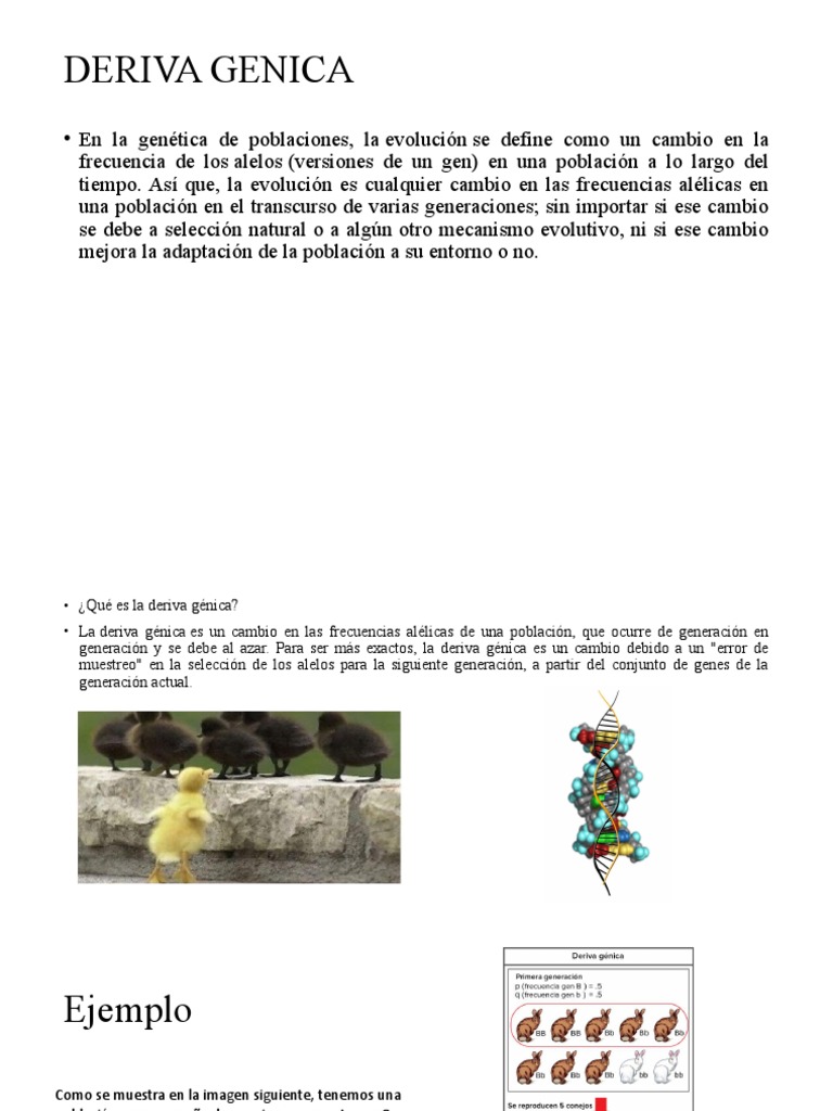 Deriva Genica | PDF | Evolución | Gene