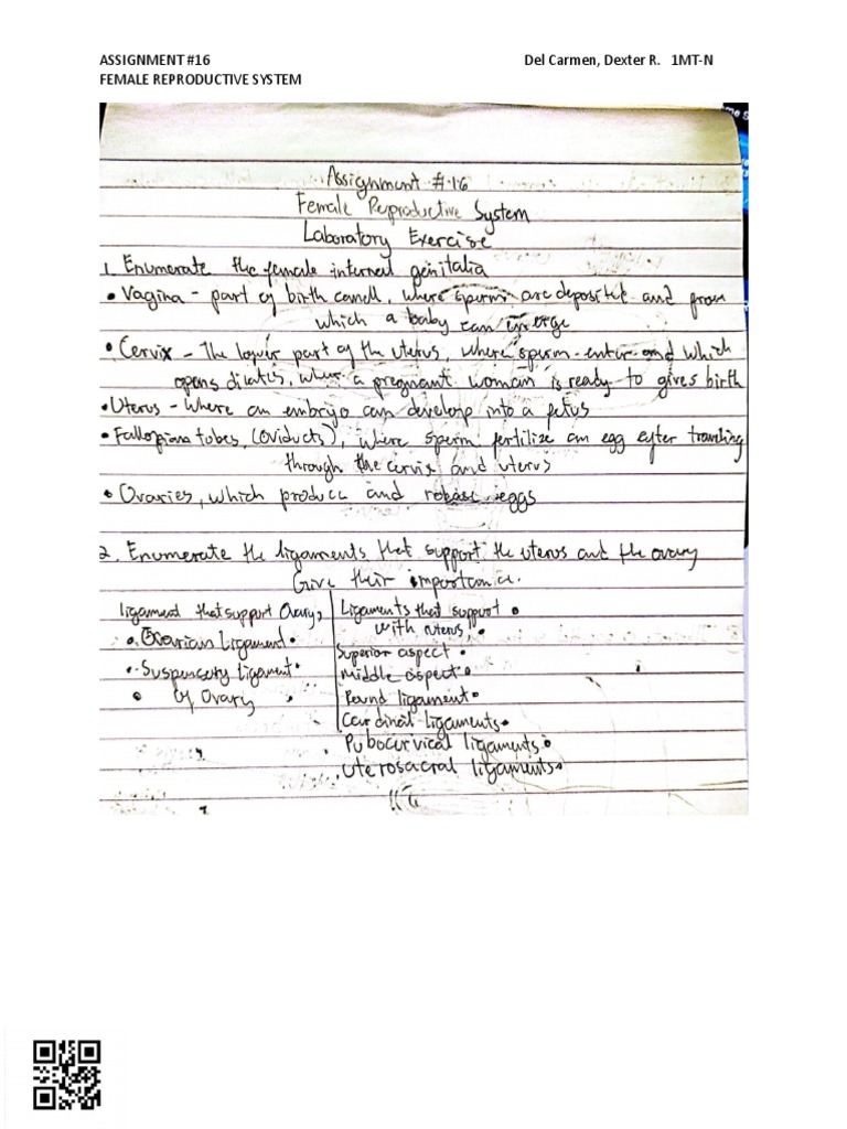 Act#16 Female Reproductive System | PDF