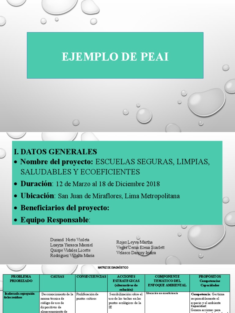 Modelo de Peai | PDF | Entorno natural | Sustentabilidad