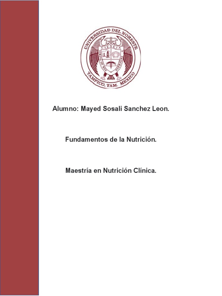Factor Actividad y Factor Estres | PDF