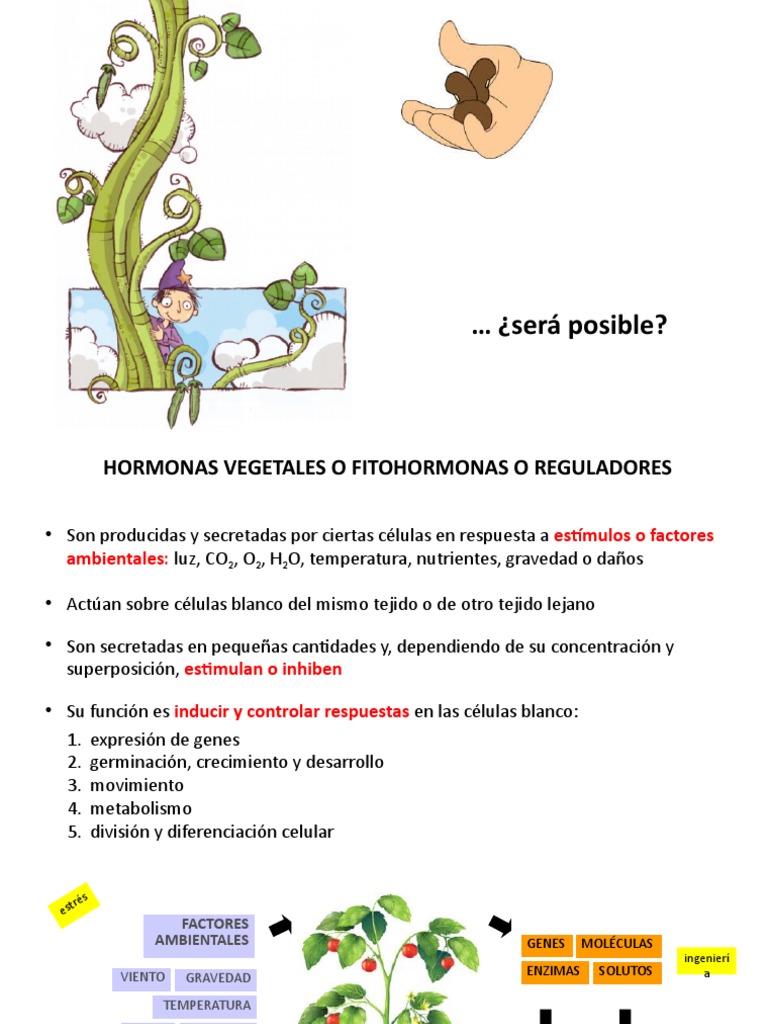 Fitohormonas | PDF | Hormona Vegetal | Auxina