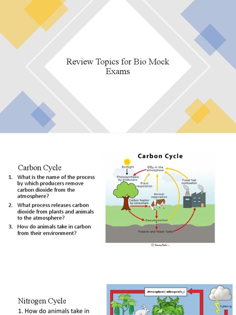 MYP Bio Review Topics For Mocks | PDF | Cellular Respiration | Chemistry