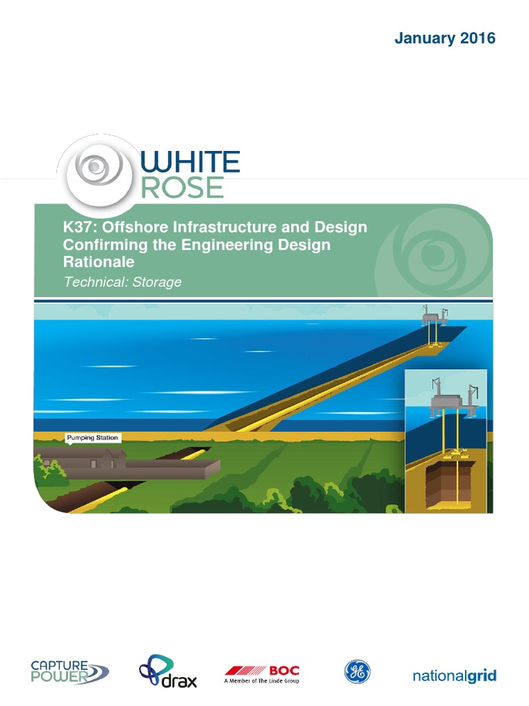 WHP Design | PDF | Carbon Capture And Storage | Buckling